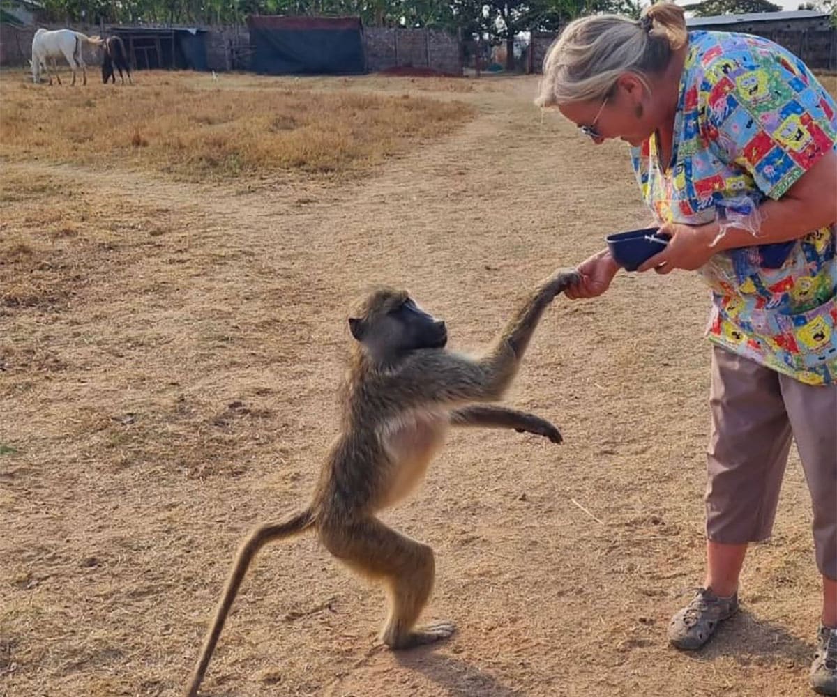 Twala Trust Animal Sanctuary - Zimbabwe | Veterinarian in Northwood ...